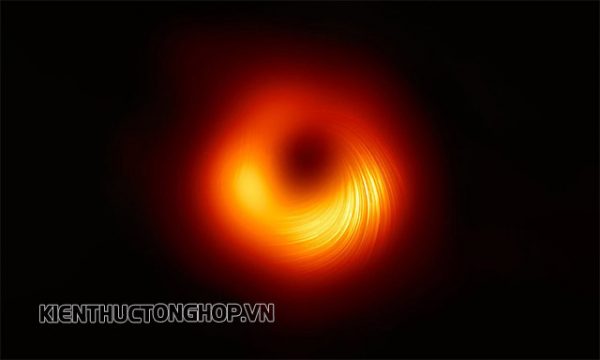 Bên trong Hố Đen Vũ Trụ là gì? Vì sao Hố Đen Vũ Trụ đáng sợ?