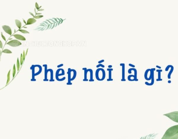 Taluy là gì? Taluy âm taluy dương cho ta biết điều gì?