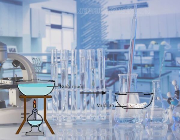 Taluy là gì? Taluy âm taluy dương cho ta biết điều gì?